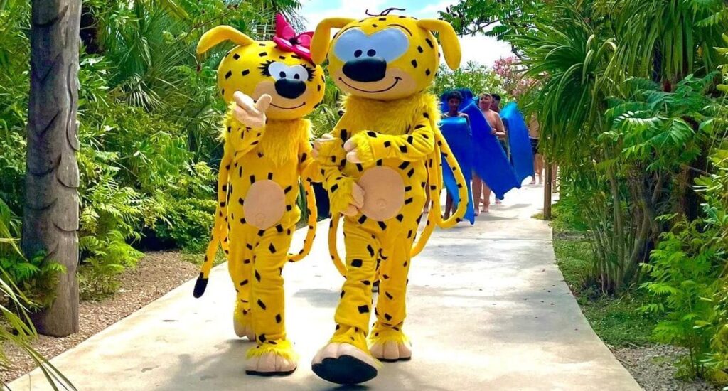 Nos tarifs - Wave Island